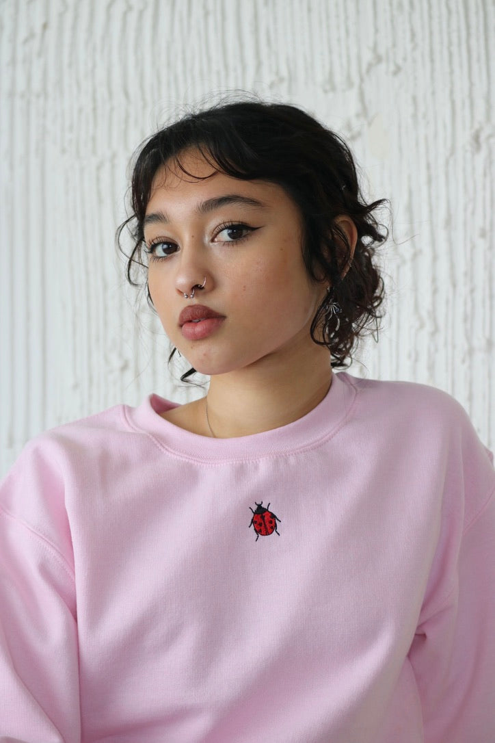 Mini Ladybird Sweater – Emma Warren ltd